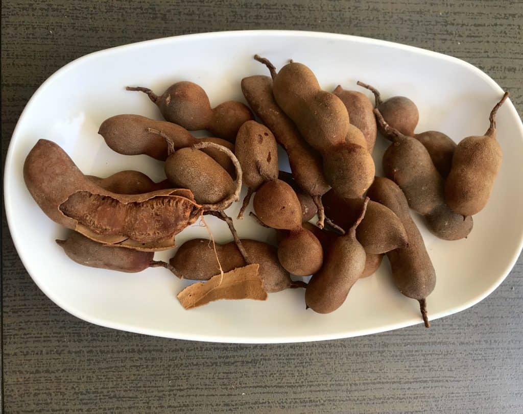 10 Amazing Facts About Tamarind - Guyanese Girl Haitian Soul